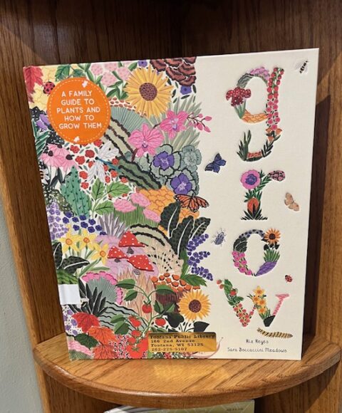 Fontana Public Library | The Public Library for Fontana Wisconsin